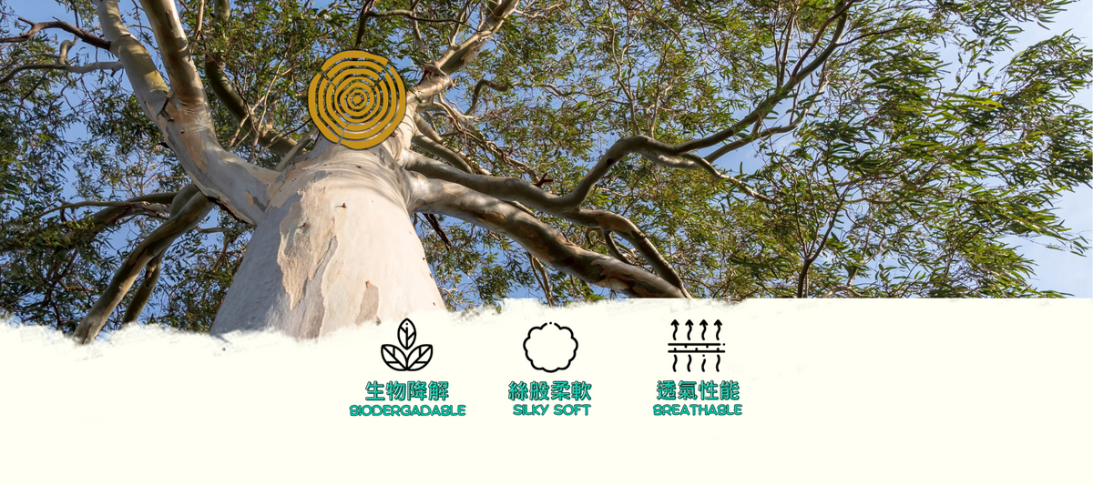 Sustainable Materials – ESG School HK